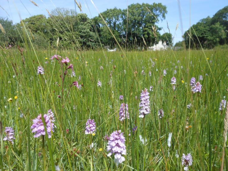 Ballacrye Beg – Self Catering Holiday Cottage, Isle of Man