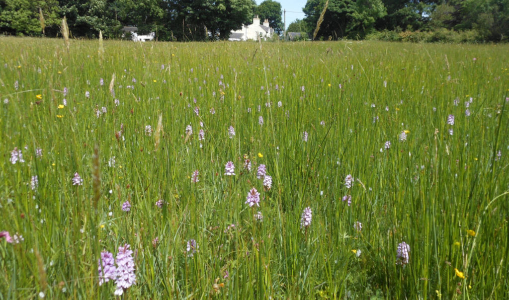 Ballacrye Beg – Self Catering Holiday Cottage, Isle of Man