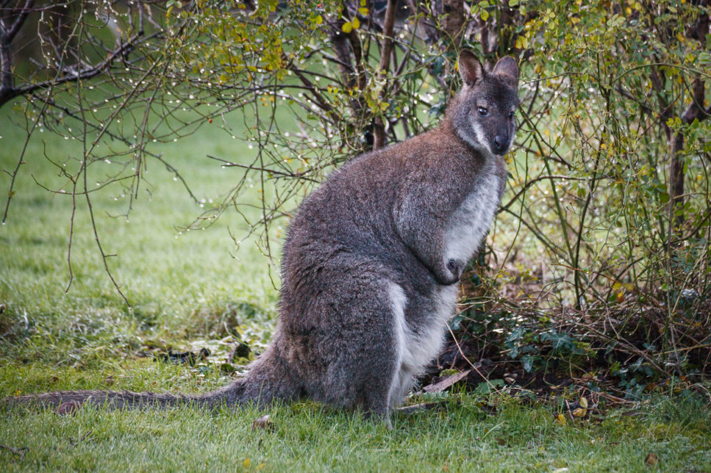 Ballacrye Beg – Self Catering Holiday Cottage, Isle of Man